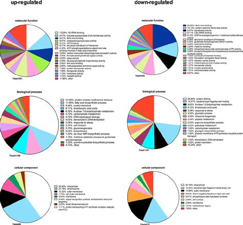 Annotation Of Overall Regulated Bacterial Protein Functions By