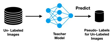 What Is Noisy Student Training Deep Learning University