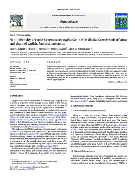 Pdf Non Infectivity Of Cattle Streptococcus Agalactiae In Nile