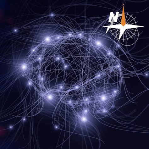 Ai And Machine Learning From Scratch To Advanced Models Navalapp
