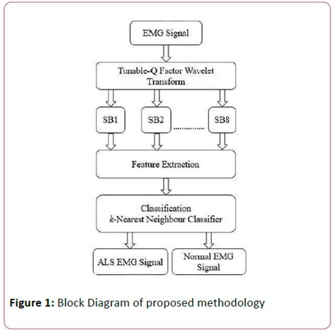 tqwt based features for classification of als and healthy emg signals