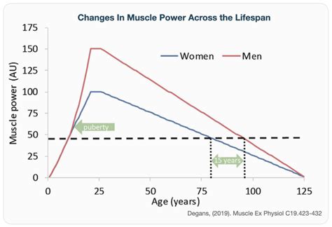 Muscle Power For Successful Ageing Get Back To Sport