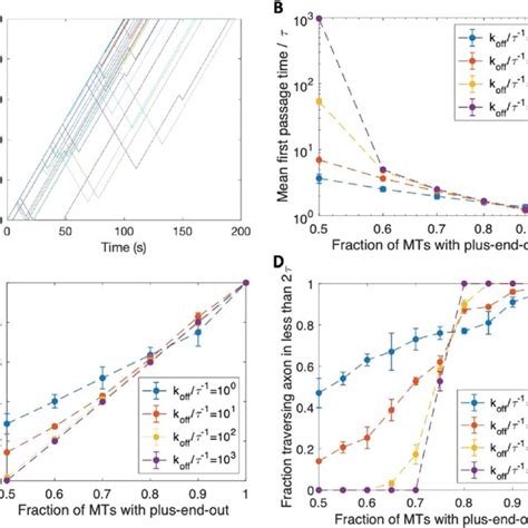 Methods For Determining Microtubule Polarity Orientation In Axons And Download Scientific
