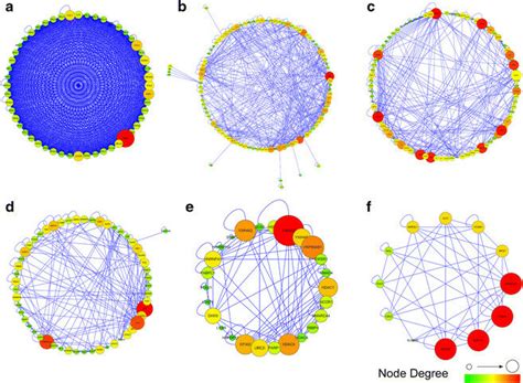 Functional Modules Identified By Allegromcode Based On Molecular