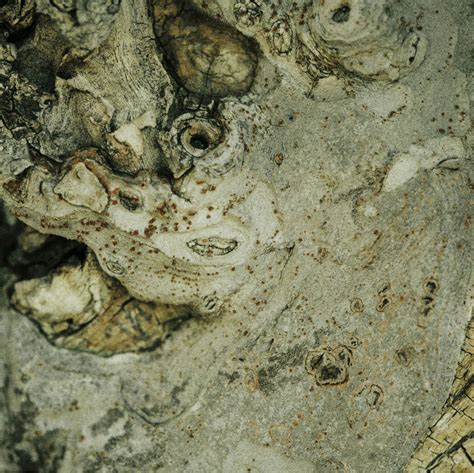 Sites Reformation Us Site