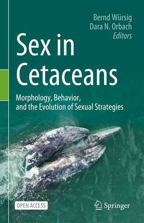 Sex In Cetaceans Morphology Behavior And The Evolution Of Sexual