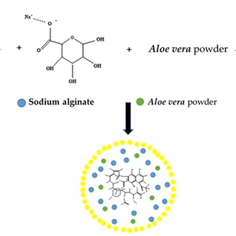 Schematic Representation Of Drug Matrix Former Spray Drying Excipient