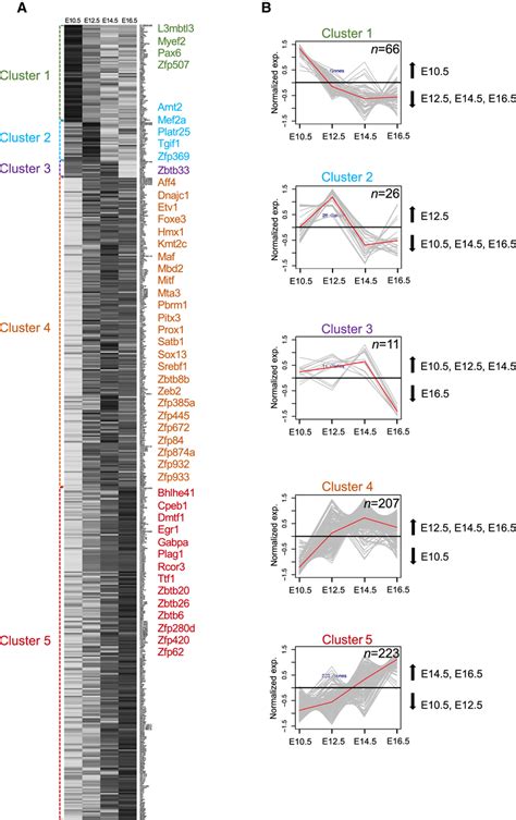 Developmental Expression Clusters Reveal Dynamics Of Lens Enriched Download Scientific Diagram