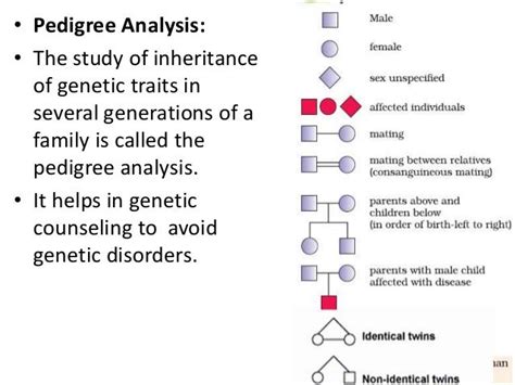 chapter 5 principles of inheritance and variation
