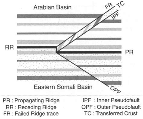 Schematic Diagram Showing The Main Tectonic Features