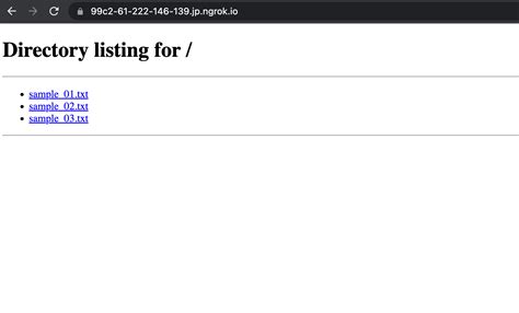 Linux Using Ngrok To Set Up A Temporary Server And Forward The Port Clay Technology World