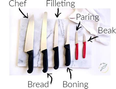 Types Of Knives Types Of Knives Fun Cooking Culinary Skills