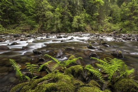Riparian Habitats Marion Swcd