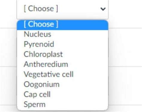 Solved Match The Structures In Fig With The Correct Chegg