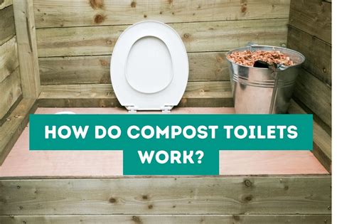 How Does A Composting Toilet Work Nz At Tommy Bautista Blog