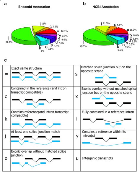 Comparision Of Pacbio Transcript Structure With Known Transcripts In