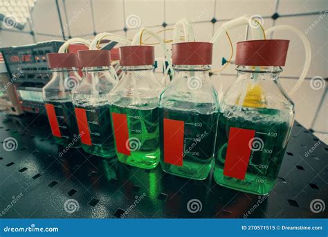 Experimental Setup For Enzymatic Synthesis By Genetically Modified