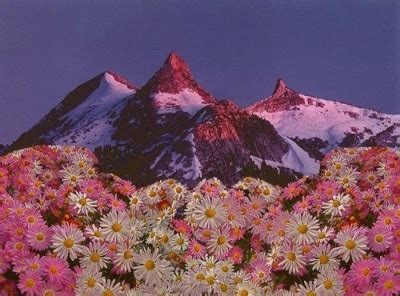 Post Rated Tumblr Com Tumbex