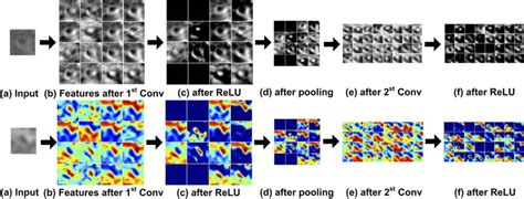 figure 1 from tumor tissue classification based on micro hyperspectral