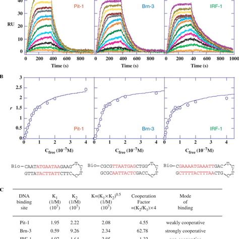 Screening For The Modulation Of Transcription Factor Dna Binding Using Download Scientific