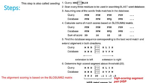 database similarity searching blast and fasta pptx databases