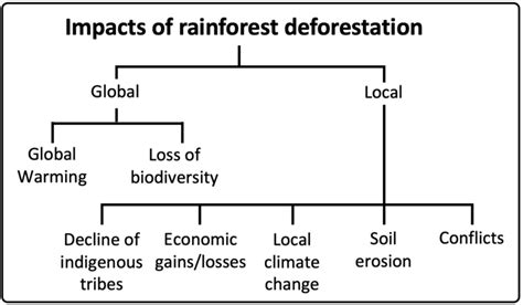 What Are The Effects Of Deforestation In The Amazon Internet Geography