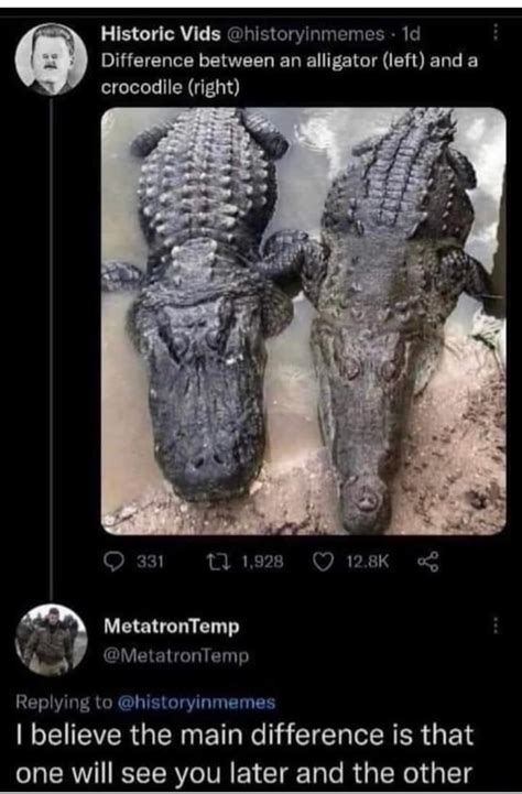 Historic Vids Historyinmemes Difference Between An Alligator Left And A Crocodile Right II