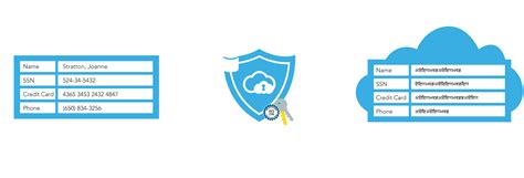 Cloud Data Encryption Lookout