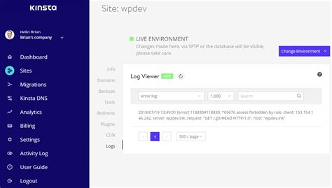 access and wordpress error logs kinsta