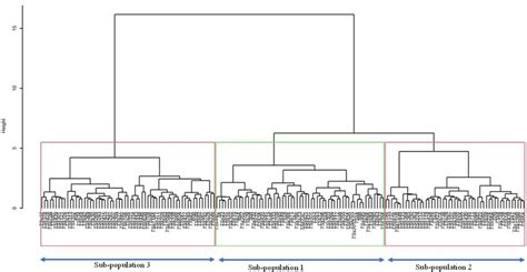 Hierarchical Cluster Dendrogram Generated From The Combined Distant