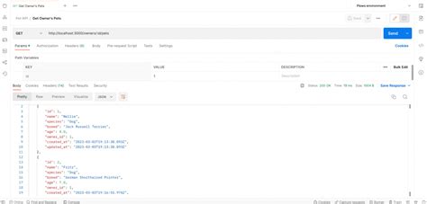 How To Build An API Postman Blog