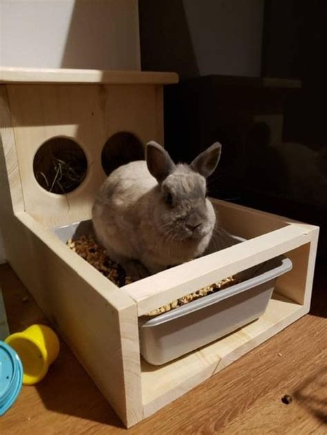 Rabbit Hay Feeder With Litter Box Etsy Litter Box Rabbit Hay