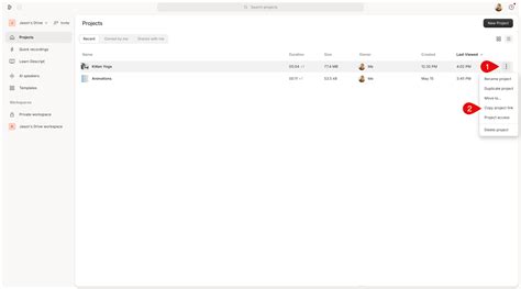 Project Links Descript Help
