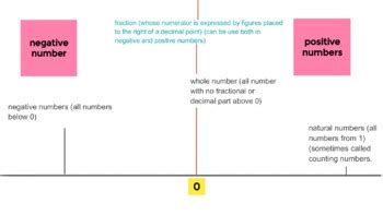 Types Of Numbers And The Number Line By Fiona L TPT