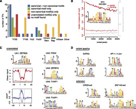Sequence Features And Chromatin Structure Around The Genomic Regions Bound By 119 Human