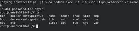 How To Install And Manage Podman Containers In RHEL Systems