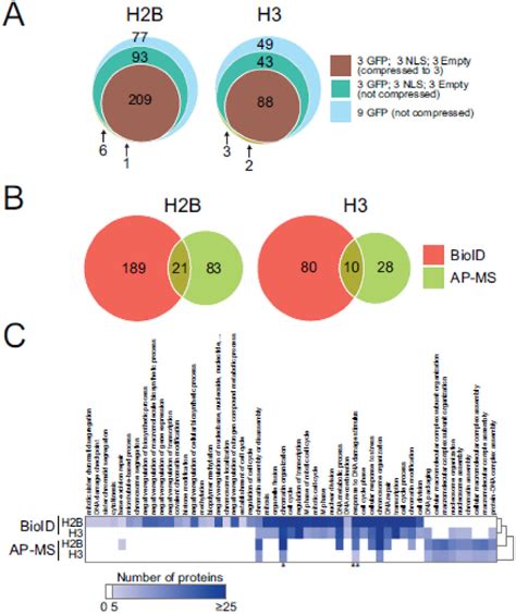 Figure 3 From Proximity Biotinylation And Affinity Purification Are