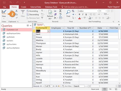 What Is Delete Query In Ms Access At Hudson Facy Blog