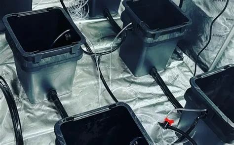 5 Gallon Rdwc Hydroponic System Bucket With Water Chiller Buy Rdwc Hydroponic System