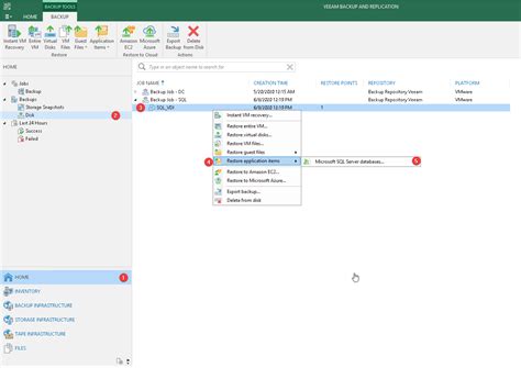 Restauración Una Base De Datos Microsoft Sql Server 2016 Con Veeam