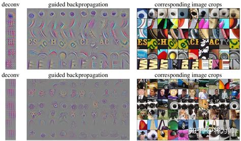 直观理解卷积神经网络 二 导向反向传播 Guided Backpropagation 知乎