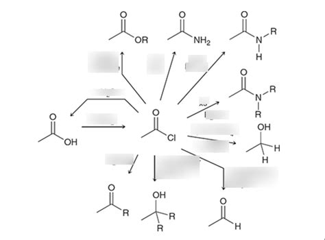 Orgo Diagram Quizlet