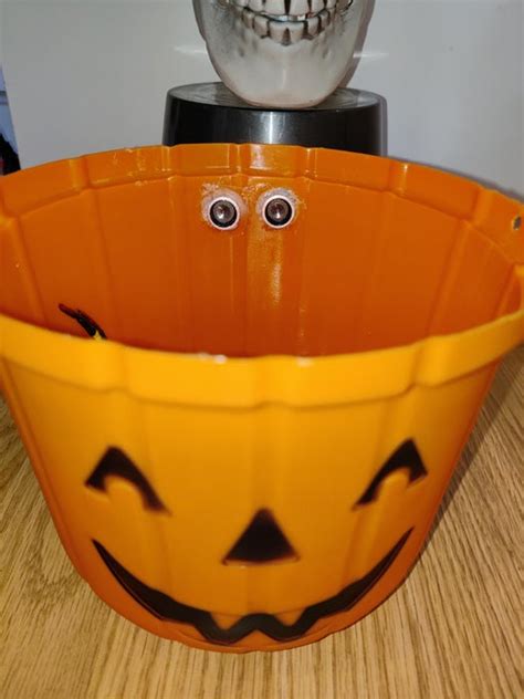 Mr Skelleton Duino