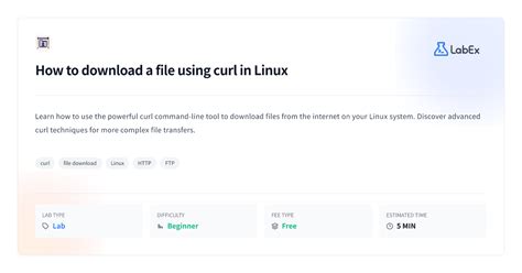 How To Download A File Using Curl In Linux Labex