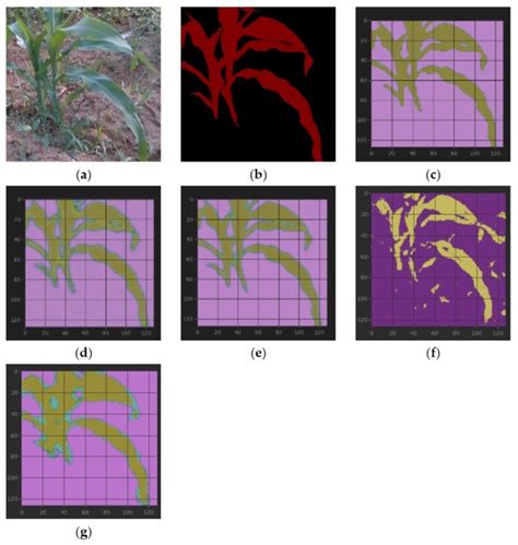 Sensors Free Full Text A New Semantic Segmentation Framework Based