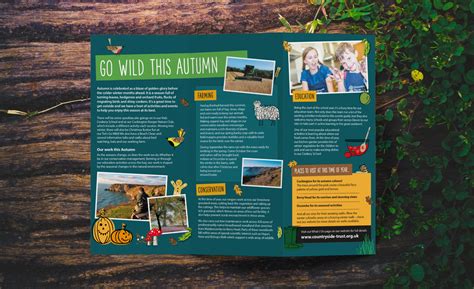 Marketing Assets The Essential Guide Gutxi Marketing Assets The Essential Guide Gutxi