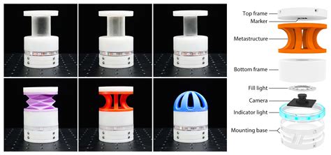 Anchoring Morphological Representations Unlocks Latent Proprioception In Soft Robots