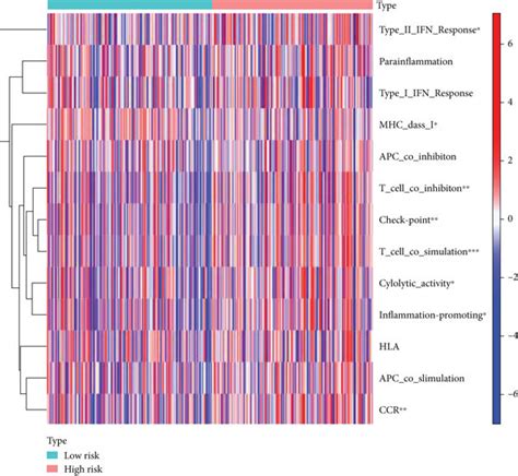 Analysis Of Immune Function A Heatmap Analysis Of Immune Related