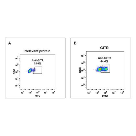 Anti Gitr Antibodydm80 Rabbit Mab Pd L1 Elisa Kit Dnmt1 Caspase