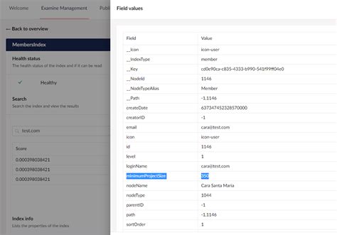 First Member Update After Rebuilding The Index And Application Start Cuts Off All Custom Indexed